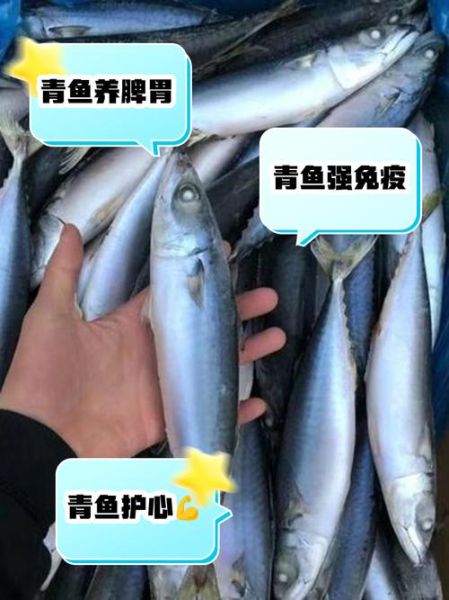 青鱼的营养价值及功效与作用_青鱼适合什么人吃-第2张图片-山城妙识 青鱼的营养价值及功效与作用_青鱼适合什么人吃-第2张图片-山城妙识