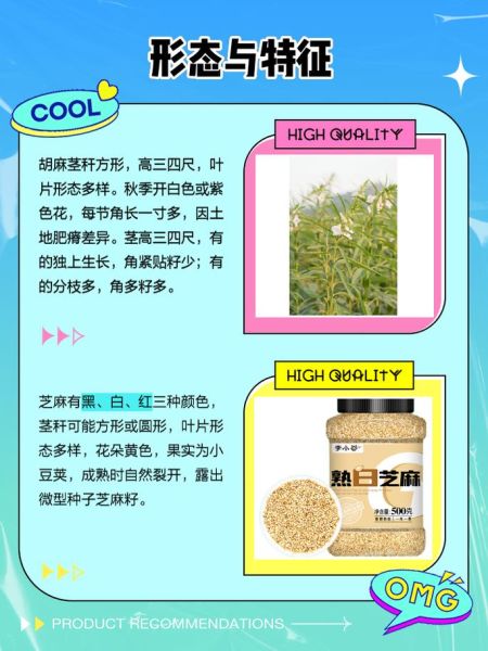 胡麻是什么_胡麻和芝麻的区别-第1张图片-山城妙识