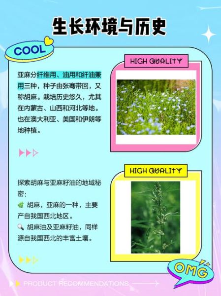 胡麻是什么_胡麻和芝麻的区别-第2张图片-山城妙识