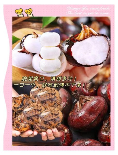 马蹄是什么水果_马蹄怎么吃最好吃-第2张图片-山城妙识