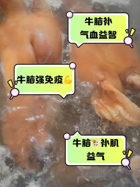 牛脑的做法大全_牛脑怎么做好吃-第2张图片-山城妙识