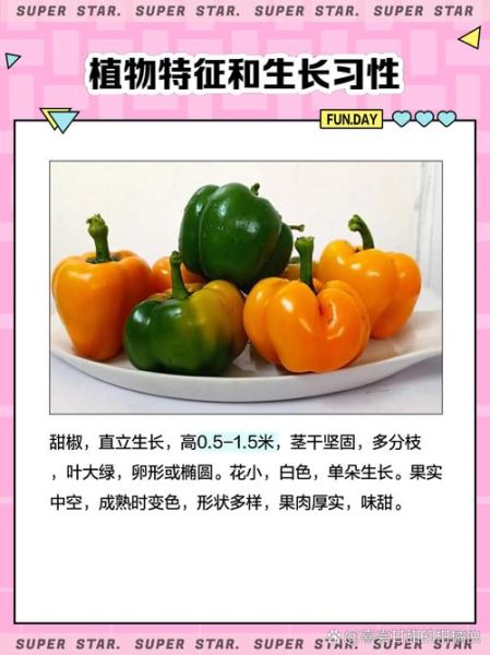 甜椒图片怎么拍_甜椒图片怎么调色-第3张图片-山城妙识