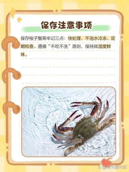 梭子蟹买回来怎么保存_能活多久-第3张图片-山城妙识