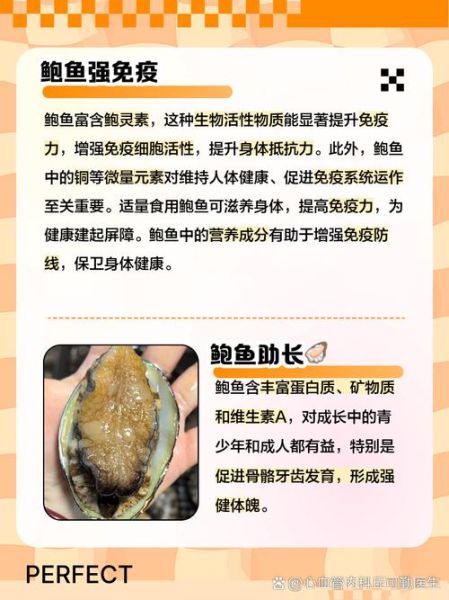 鲍鱼的功效与作用_鲍鱼禁忌人群有哪些-第1张图片-山城妙识