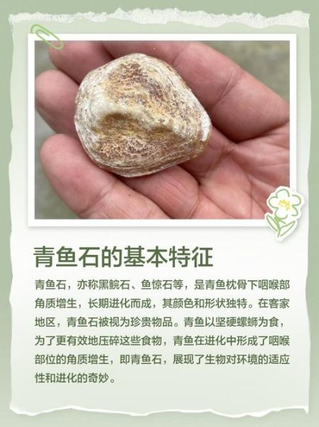 青鱼石多少钱一克_青鱼石价格影响因素-第3张图片-山城妙识