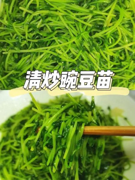 豌豆苗怎么炒好吃_豌豆苗可以凉拌吗-第1张图片-山城妙识