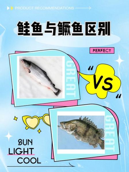 鳜鱼怎么读拼音_鳜鱼是什么鱼-第2张图片-山城妙识