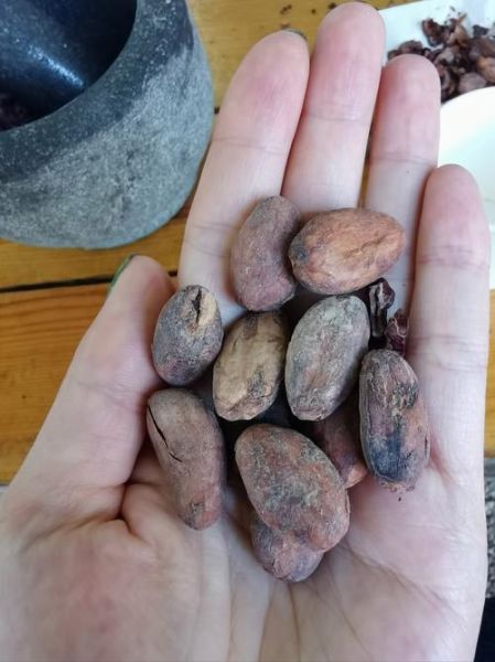 自制巧克力用什么材料_自制巧克力需要哪些原料-第2张图片-山城妙识