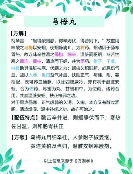 乌梅丸治疗什么病_乌梅丸方解与功效-第1张图片-山城妙识