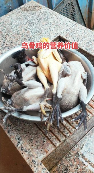 乌骨鸡多少钱一斤_乌骨鸡价格受哪些因素影响-第2张图片-山城妙识