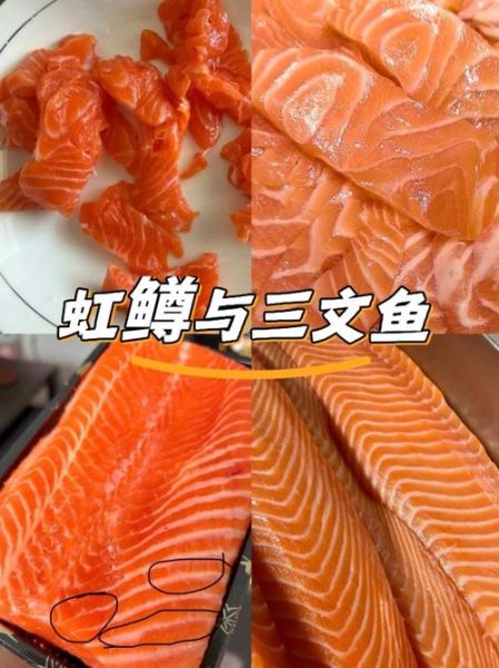 虹鳟鱼是不是三文鱼_如何区分真假三文鱼-第1张图片-山城妙识