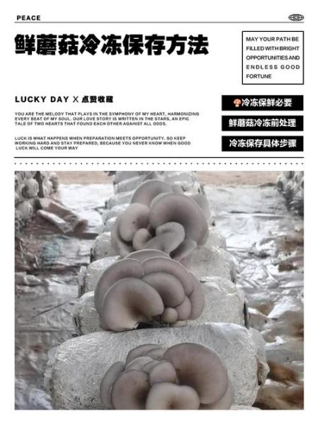 鲜蘑菇怎么长期保存_鲜蘑菇放冰箱能放多久-第1张图片-山城妙识