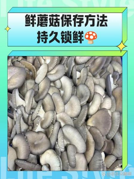 鲜蘑菇怎么长期保存_鲜蘑菇放冰箱能放多久-第3张图片-山城妙识