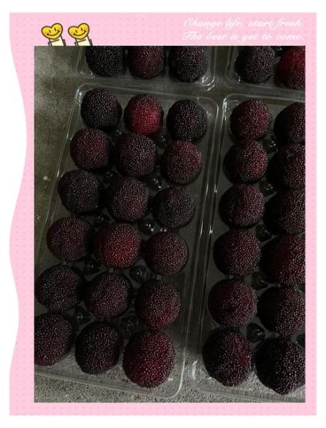 杨梅保鲜可以保存多久_杨梅冷藏能放几天-第2张图片-山城妙识