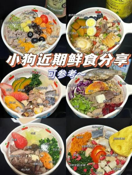 狗粮怎么制作颗粒_自制狗粮颗粒配方-第3张图片-山城妙识