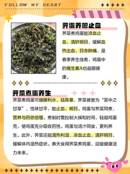 荠菜煮鸡蛋的功效与作用_荠菜煮鸡蛋能降血压吗-第1张图片-山城妙识 荠菜煮鸡蛋的功效与作用_荠菜煮鸡蛋能降血压吗-第1张图片-山城妙识