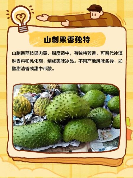 刺果番荔枝怎么吃_刺果番荔枝的功效与作用-第2张图片-山城妙识