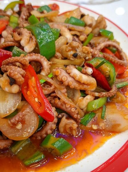 八爪鱼图片大全大图真实_八爪鱼高清大图怎么拍-第3张图片-山城妙识