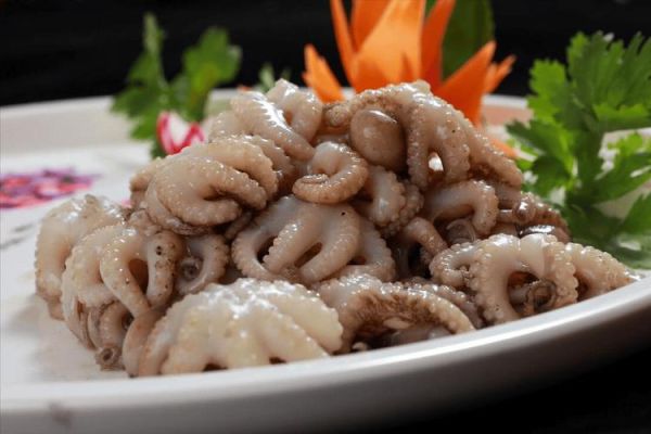 八爪鱼图片大全大图真实_八爪鱼高清大图怎么拍-第1张图片-山城妙识