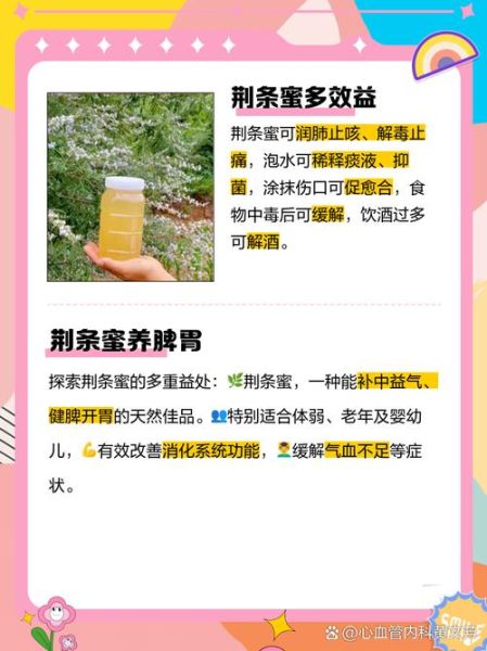 荆条蜜的功效与作用_荆条蜜怎么辨别真假-第2张图片-山城妙识