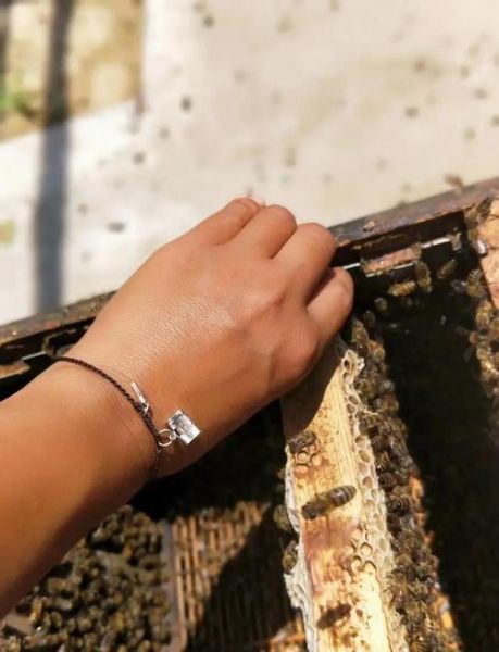 荆条蜜的功效与作用_荆条蜜怎么辨别真假-第3张图片-山城妙识