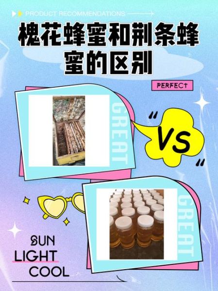 荆条蜜的功效与作用_荆条蜜怎么辨别真假-第1张图片-山城妙识