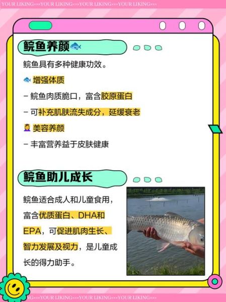 鲩鱼的功效与作用_鲩鱼的禁忌有哪些-第1张图片-山城妙识 鲩鱼的功效与作用_鲩鱼的禁忌有哪些-第1张图片-山城妙识