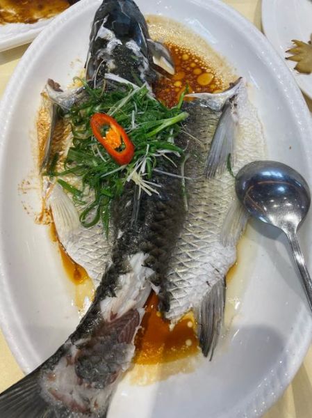 鲩鱼的功效与作用_鲩鱼的禁忌有哪些-第2张图片-山城妙识 鲩鱼的功效与作用_鲩鱼的禁忌有哪些-第2张图片-山城妙识