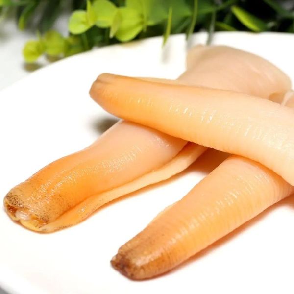 象拔蚌刺身有寄生虫吗_象拔蚌刺身安全吃法-第2张图片-山城妙识