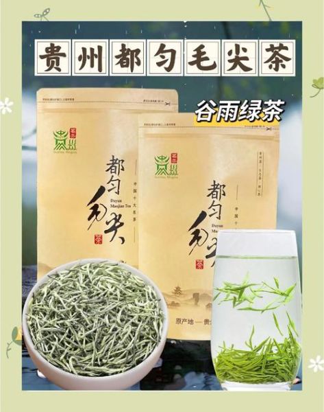 都匀毛尖的功效与作用_都匀毛尖适合什么人喝-第3张图片-山城妙识