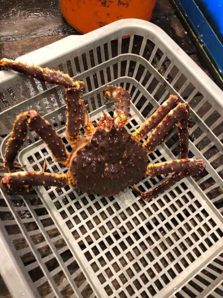 阿拉斯加捕蟹人怎么报名_阿拉斯加捕蟹人招聘条件-第3张图片-山城妙识 阿拉斯加捕蟹人怎么报名_阿拉斯加捕蟹人招聘条件-第3张图片-山城妙识