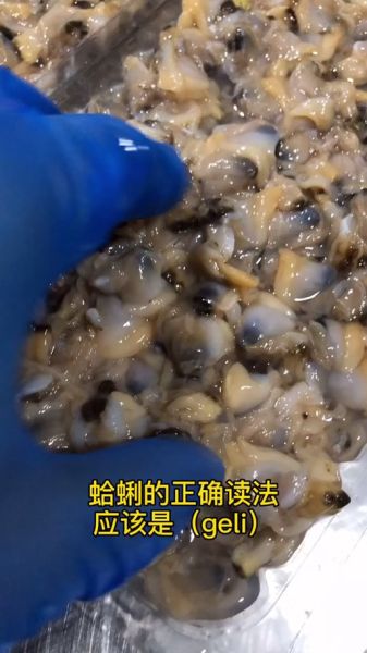 蛤蜊读gala还是蛤蜊读gali_正确读音是什么-第2张图片-山城妙识 蛤蜊读gala还是蛤蜊读gali_正确读音是什么-第2张图片-山城妙识