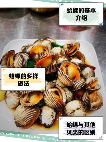 蛤蜊读gala还是蛤蜊读gali_正确读音是什么-第3张图片-山城妙识 蛤蜊读gala还是蛤蜊读gali_正确读音是什么-第3张图片-山城妙识