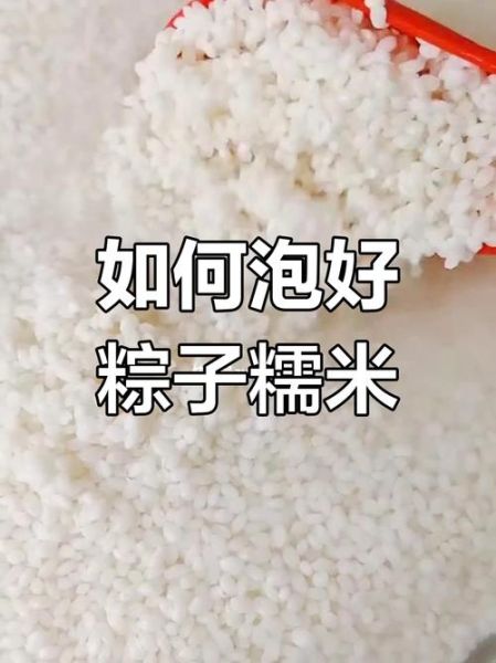 包粽子米泡多久_糯米最佳浸泡时间-第1张图片-山城妙识 包粽子米泡多久_糯米最佳浸泡时间-第1张图片-山城妙识