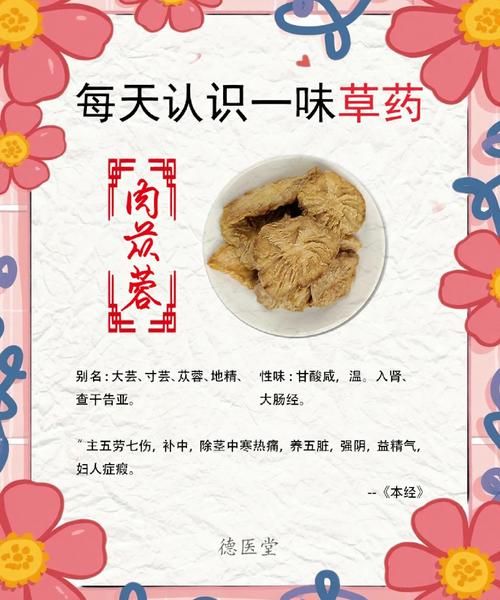 肉苁蓉的危害极大_长期吃有哪些副作用-第2张图片-山城妙识