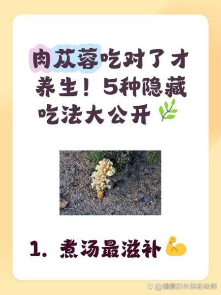 肉苁蓉的危害极大_长期吃有哪些副作用-第3张图片-山城妙识