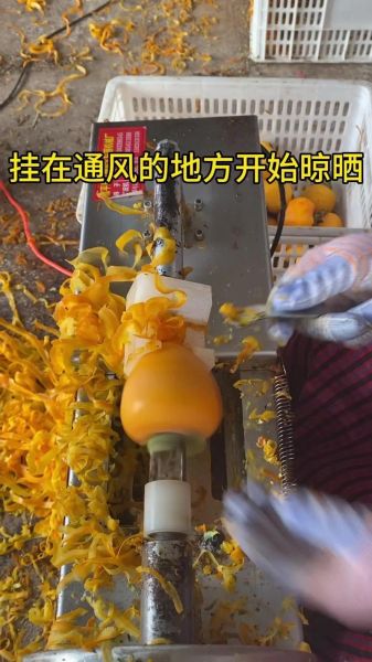 柿饼怎么保存_柿饼的制作方法-第2张图片-山城妙识