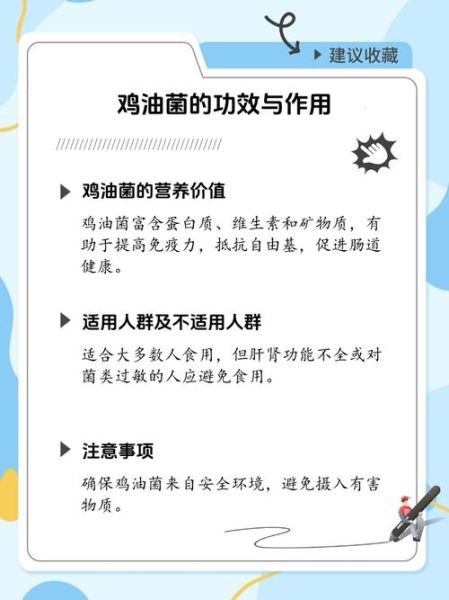 鸡油菌的功效与作用及禁忌_什么人不能吃-第1张图片-山城妙识