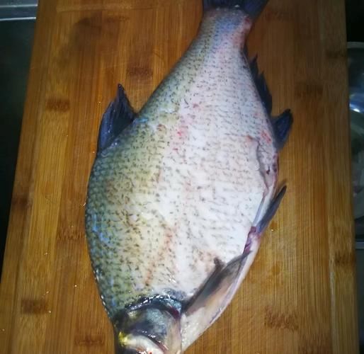 清蒸武昌鱼怎么做好吃又简单_清蒸武昌鱼家常做法步骤-第1张图片-山城妙识 清蒸武昌鱼怎么做好吃又简单_清蒸武昌鱼家常做法步骤-第1张图片-山城妙识