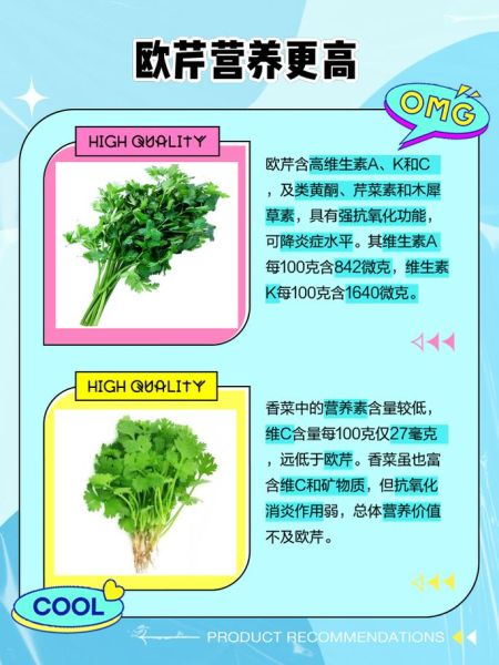 欧芹是什么味道_欧芹和香菜味道一样吗-第1张图片-山城妙识 欧芹是什么味道_欧芹和香菜味道一样吗-第1张图片-山城妙识