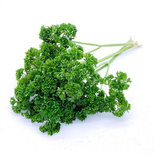 欧芹是什么味道_欧芹和香菜味道一样吗-第3张图片-山城妙识 欧芹是什么味道_欧芹和香菜味道一样吗-第3张图片-山城妙识