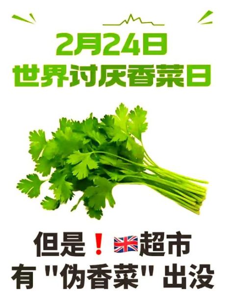 欧芹是什么味道_欧芹和香菜味道一样吗-第2张图片-山城妙识 欧芹是什么味道_欧芹和香菜味道一样吗-第2张图片-山城妙识