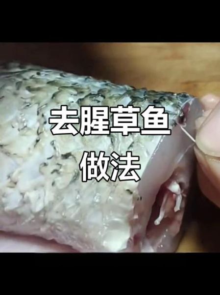 川菜草鱼怎么做才入味_草鱼去腥技巧-第2张图片-山城妙识 川菜草鱼怎么做才入味_草鱼去腥技巧-第2张图片-山城妙识