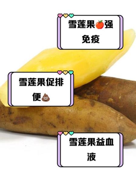 雪莲子怎么吃_雪莲子功效与作用禁忌-第1张图片-山城妙识