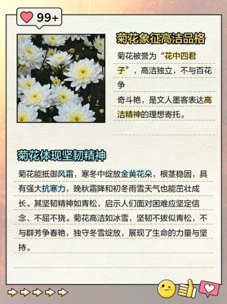 菊花的寓意和象征_菊花在风水中的含义-第2张图片-山城妙识