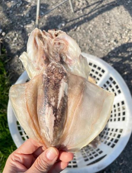 墨鱼干的营养价值及功效与作用_墨鱼干适合什么人吃-第3张图片-山城妙识 墨鱼干的营养价值及功效与作用_墨鱼干适合什么人吃-第3张图片-山城妙识