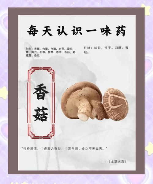 吃香菇的禁忌人群_哪些人不能吃香菇-第3张图片-山城妙识 吃香菇的禁忌人群_哪些人不能吃香菇-第3张图片-山城妙识