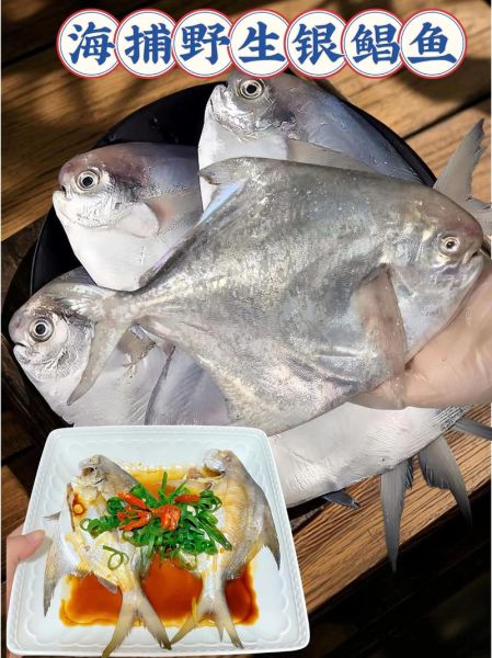 银鲳鱼刺多吗_银鲳鱼适合宝宝吃吗-第1张图片-山城妙识