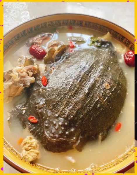 药膳甲鱼汤的做法大全_如何炖出营养不腥-第3张图片-山城妙识