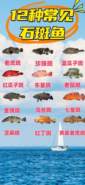 斑鱼有哪些常见种类_斑鱼图片怎么区分-第1张图片-山城妙识